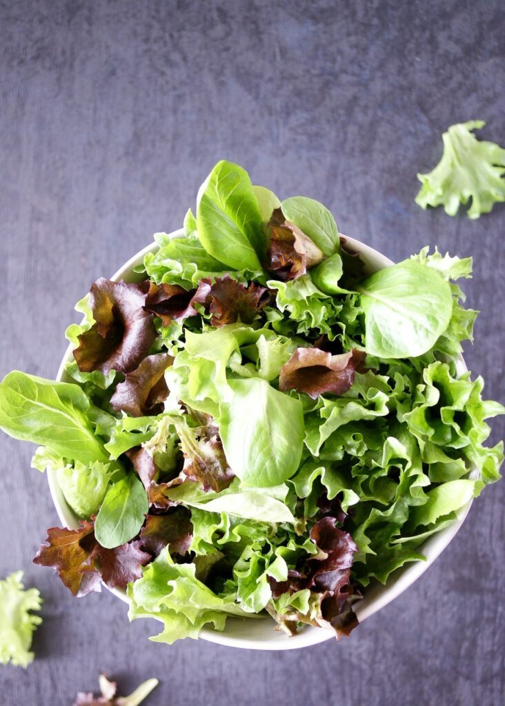 Growing to a Fresher Future - Revol Greens